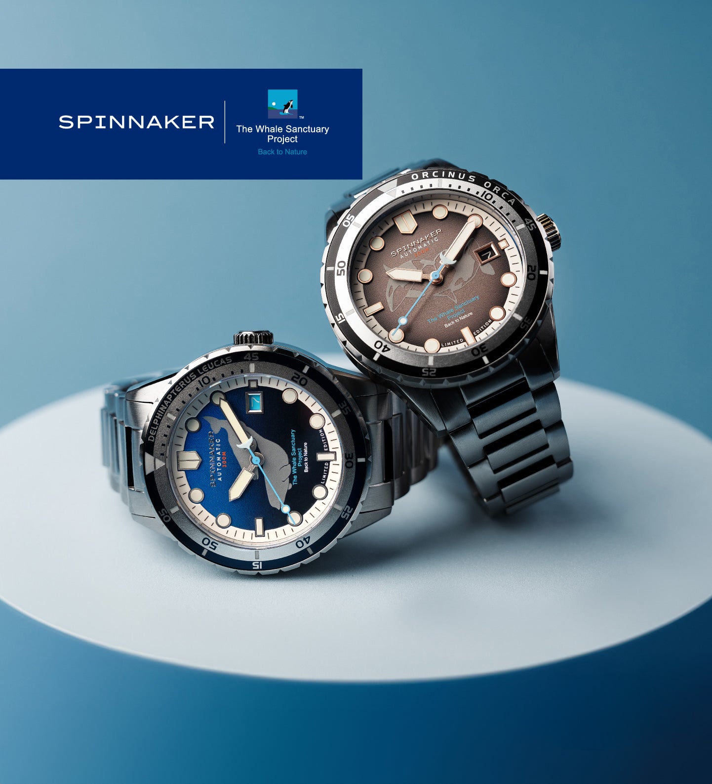 Spinnaker Watches Brasil